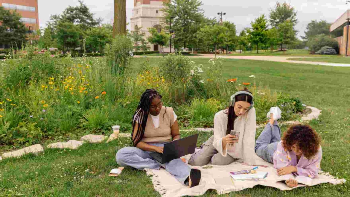 What Is College in the UK? A Comprehensive Guide