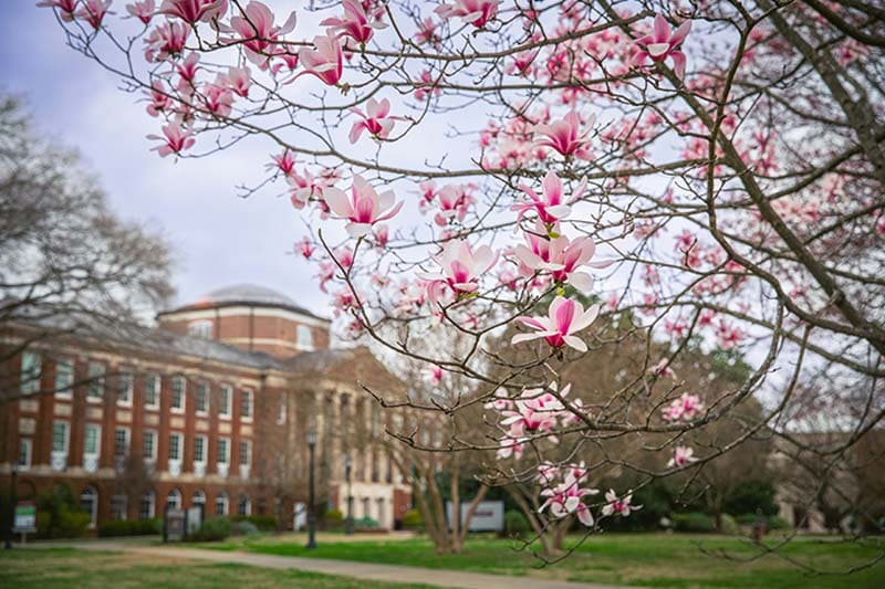 When is Spring Break 2025? Your Ultimate Guide